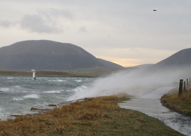 January 2020 – Scapa Views