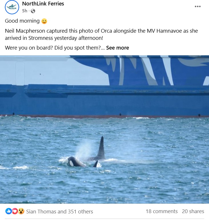 May 2024 – Scapa Views